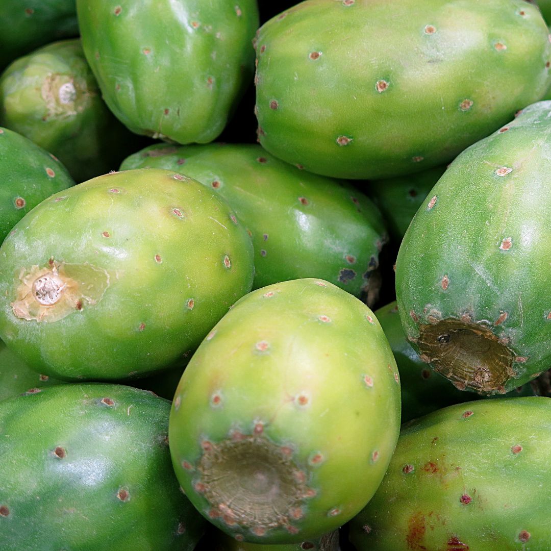 ¿Cuántas calorías tiene la Tuna Verde? – Dietana