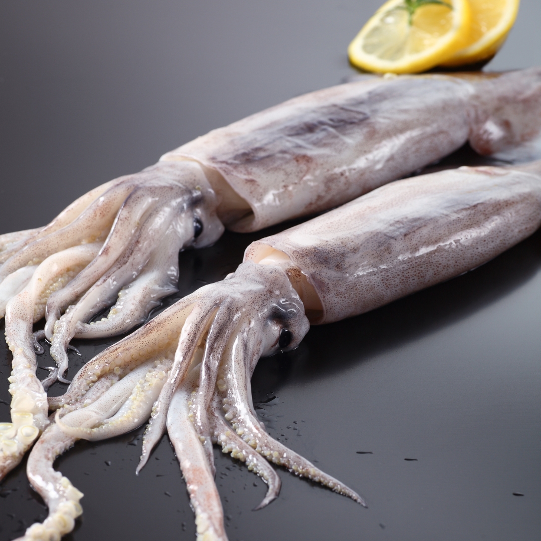 ¿Cuántas calorías tiene la Calamar Crudo? – Dietana